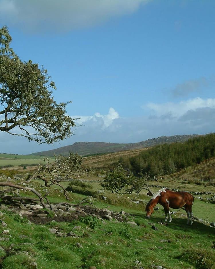 Explore the Beauty of Bodmin Moor