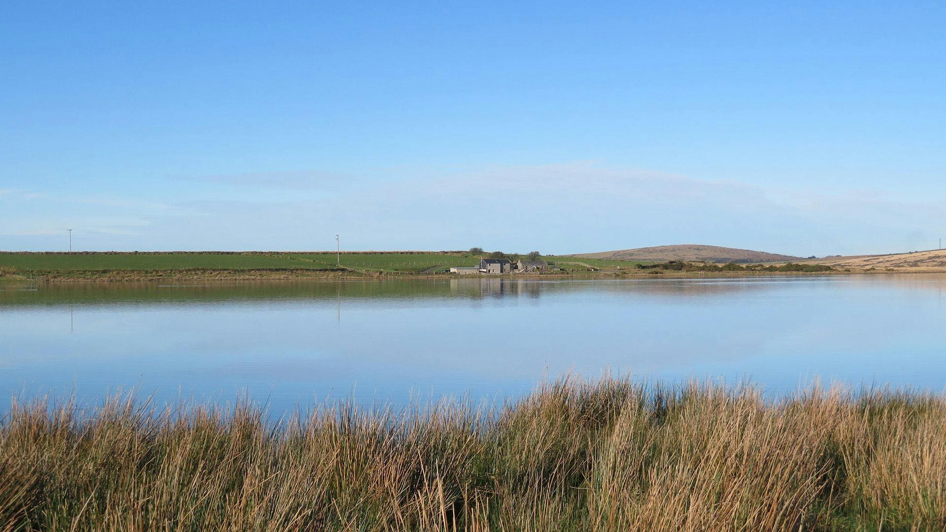 Explore the Beauty of Bodmin Moor