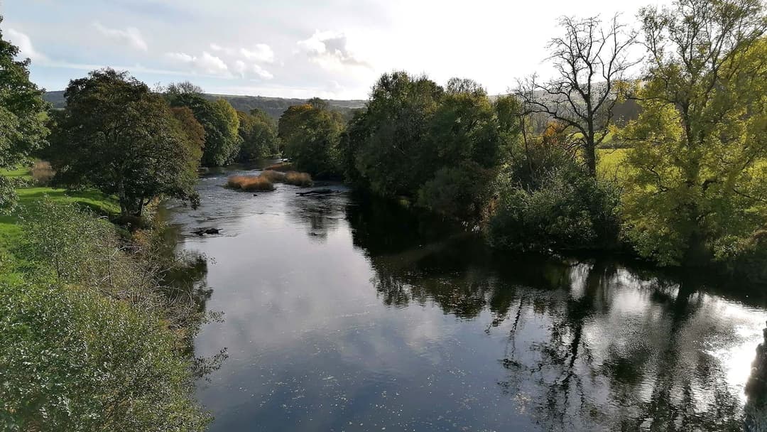 Explore the Picturesque Landscape of the Tamar Valley