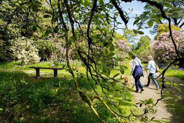 Your Guide to an Acccessible Cornwall