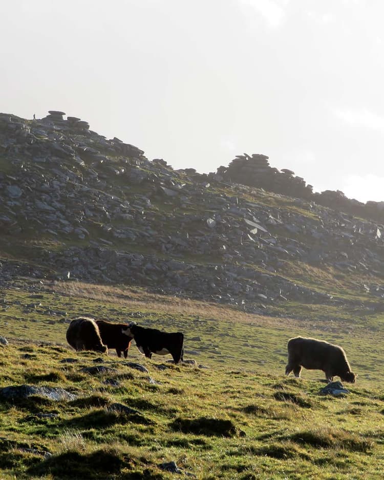 Camelford: The Gateway to North Cornwall