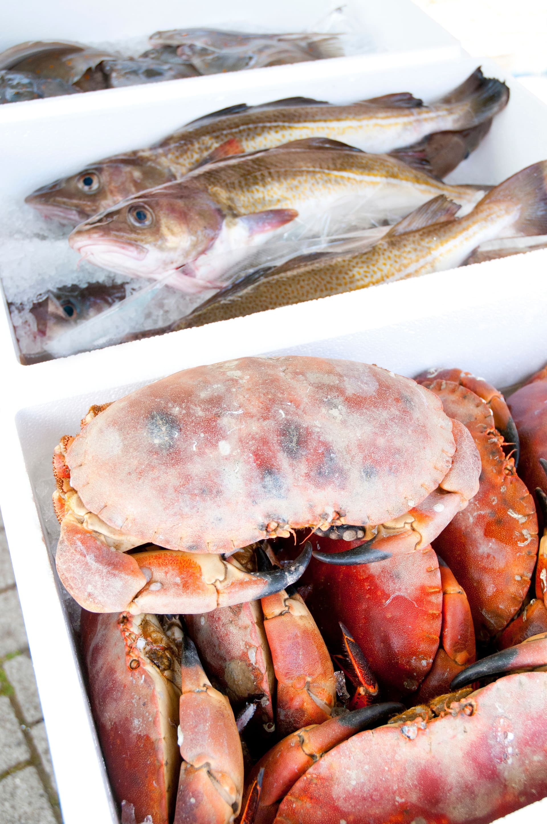 Visit Cornwall | Five to try: Farmers' Markets in Cornwall