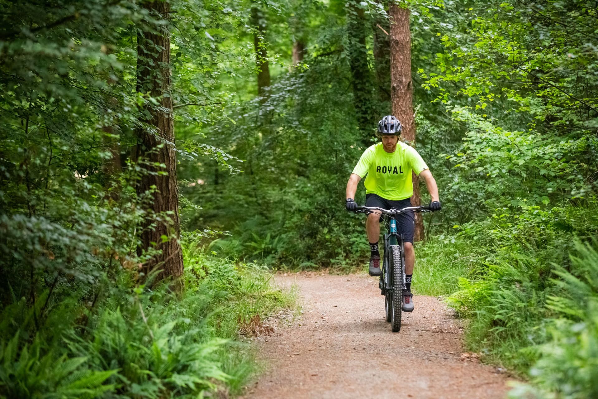 Lanhydrock Cycle Hire