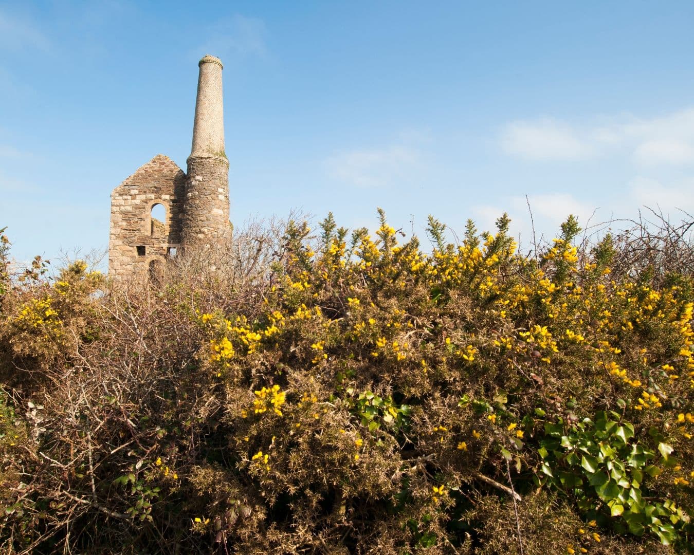 History and Heritage of Cornwall