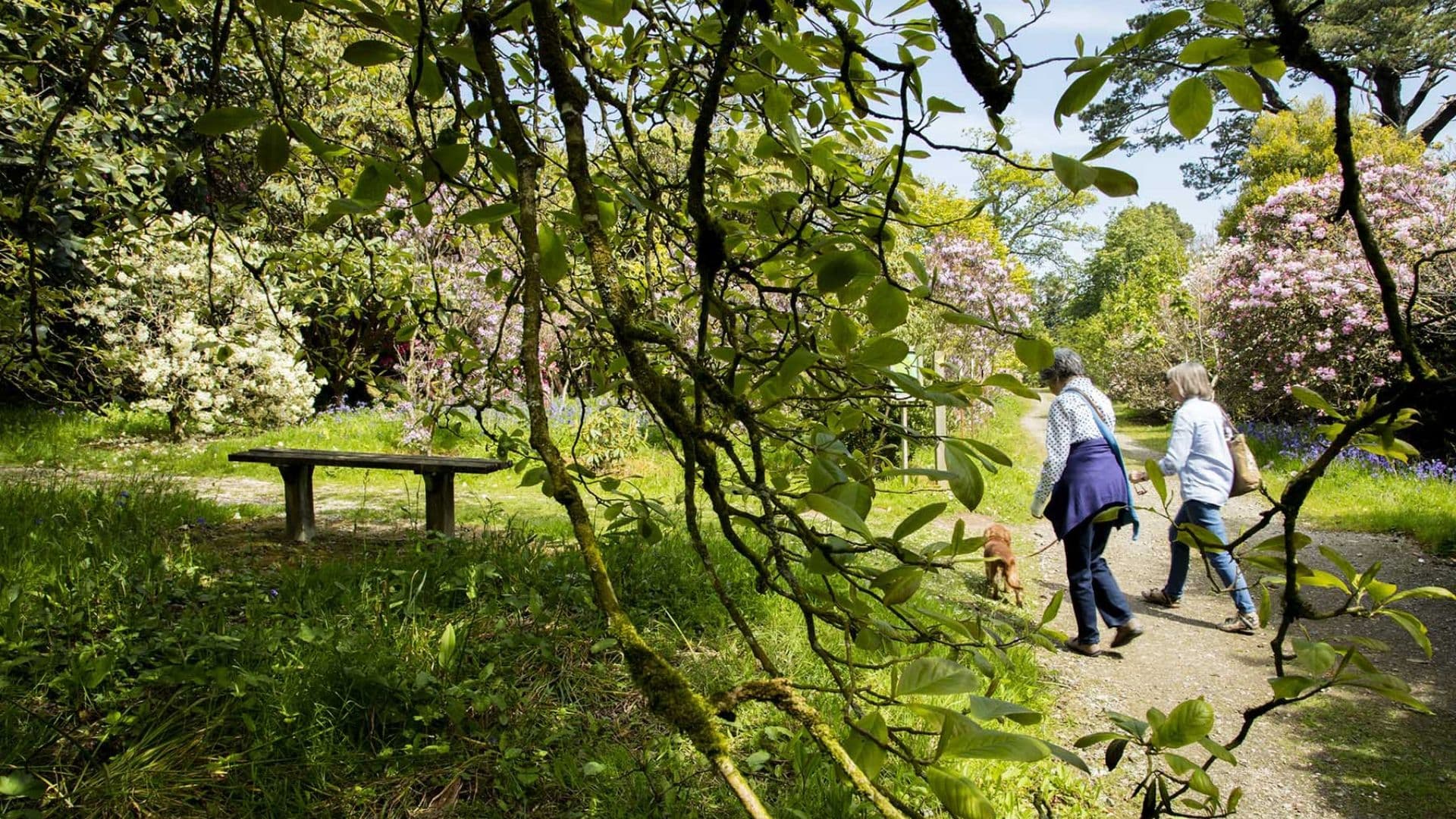 Top Gardens of Cornwall