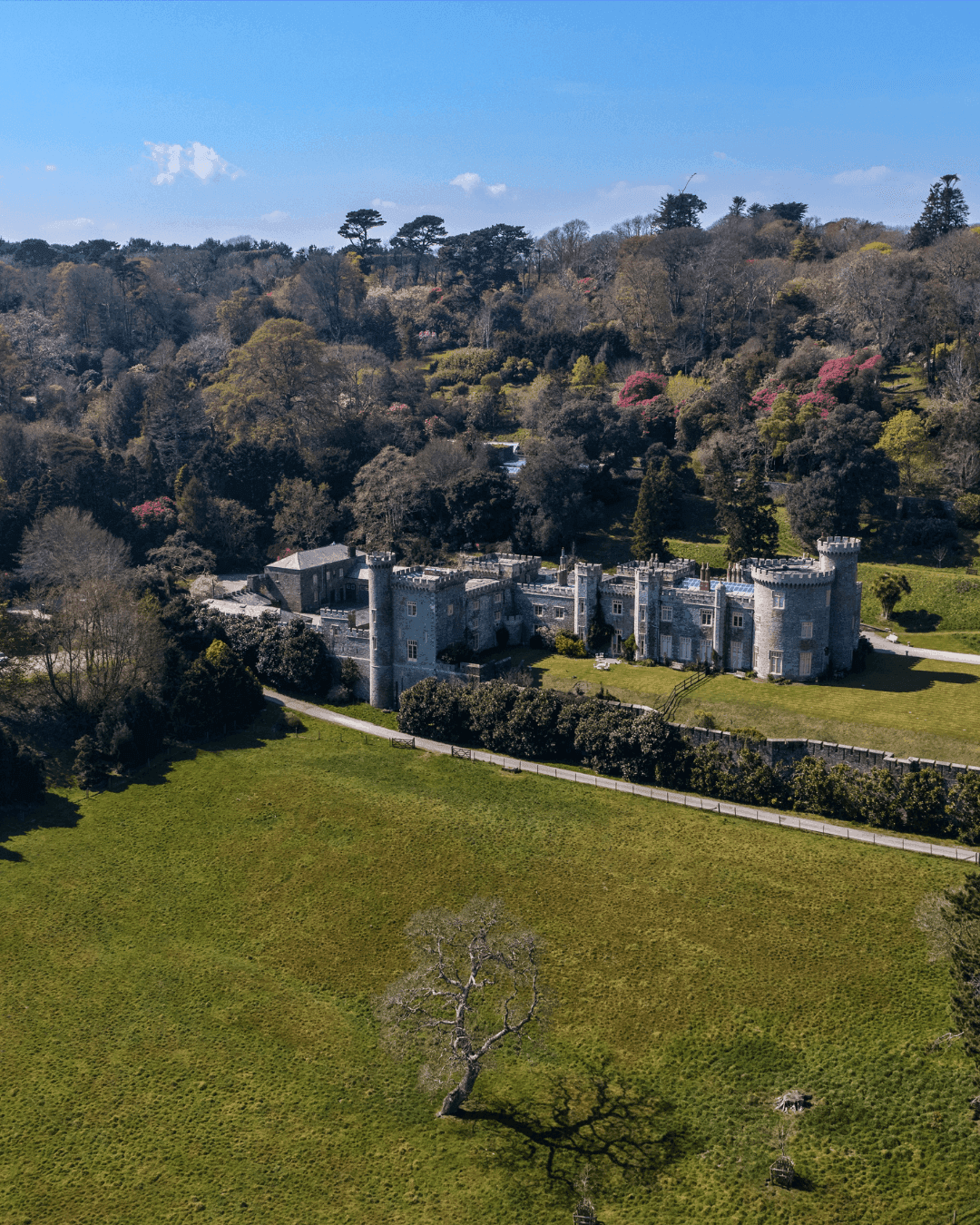 Visit Cornwall | Arts & Culture: Caerhays Castle and Gardens