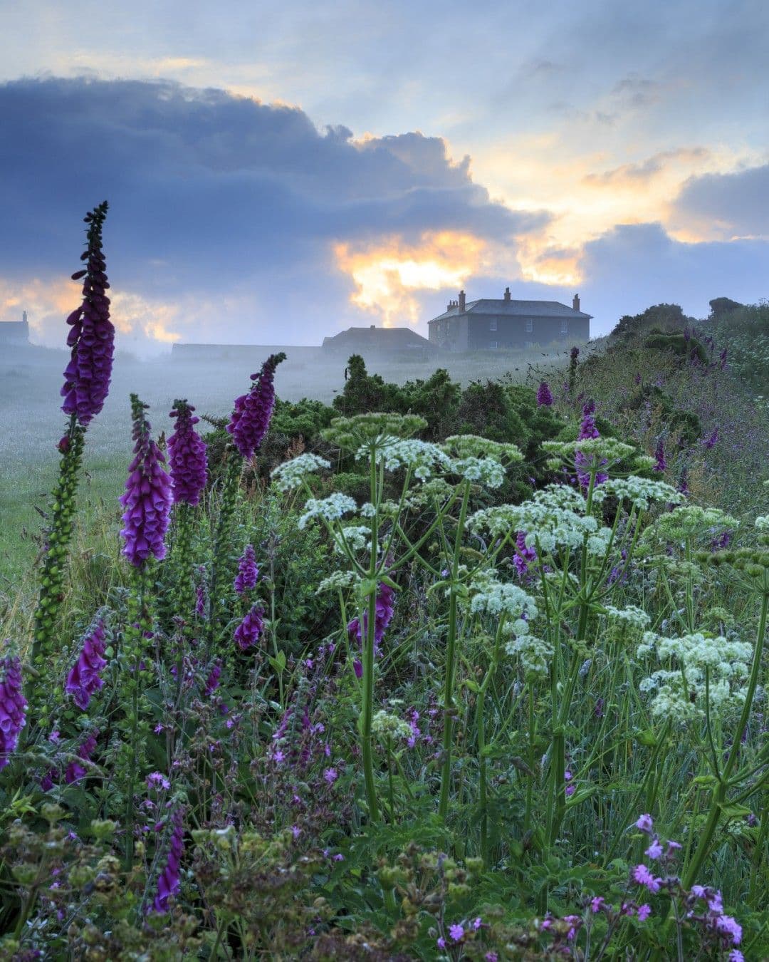 National Trust Pentire