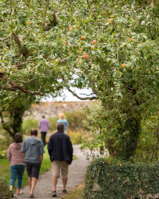 National Trust Pentire
