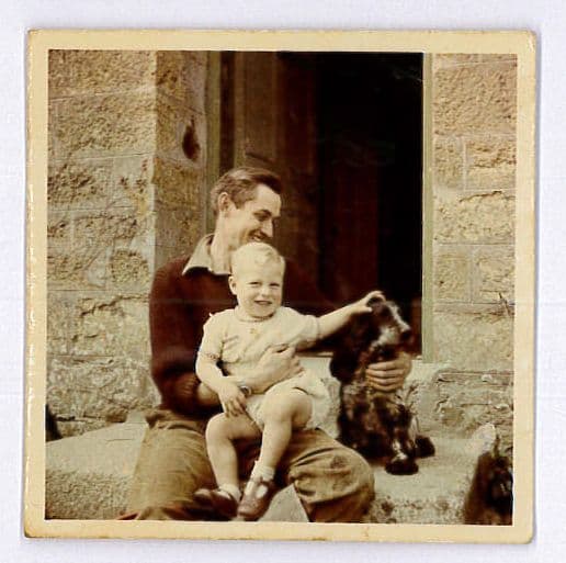 Visit Cornwall | 70 Years of Farming: Callestick Farm