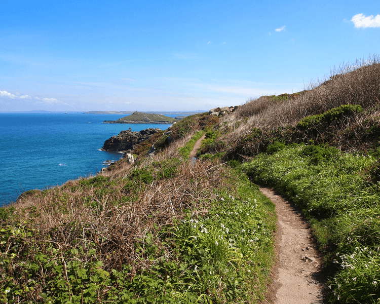 Coastal Calm: Wellbeing Walks in Cornwall