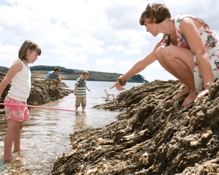 Visit Cornwall | Official Tourist Board