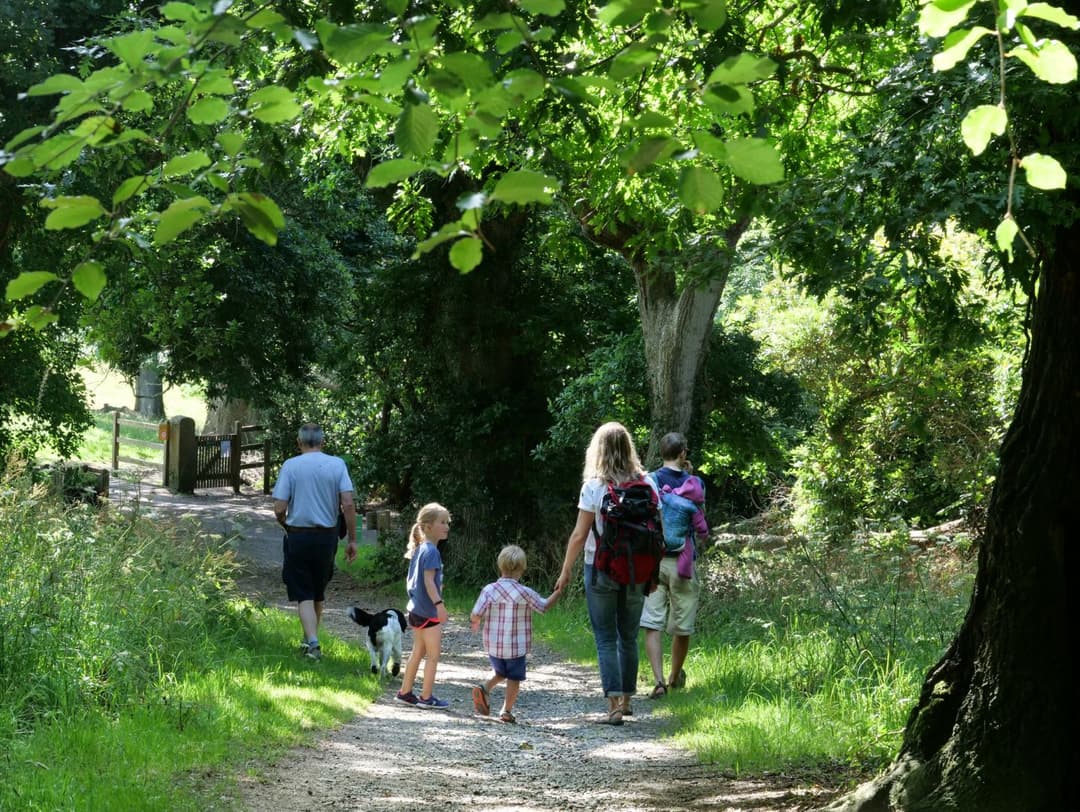 National Trust Trelissick Garden