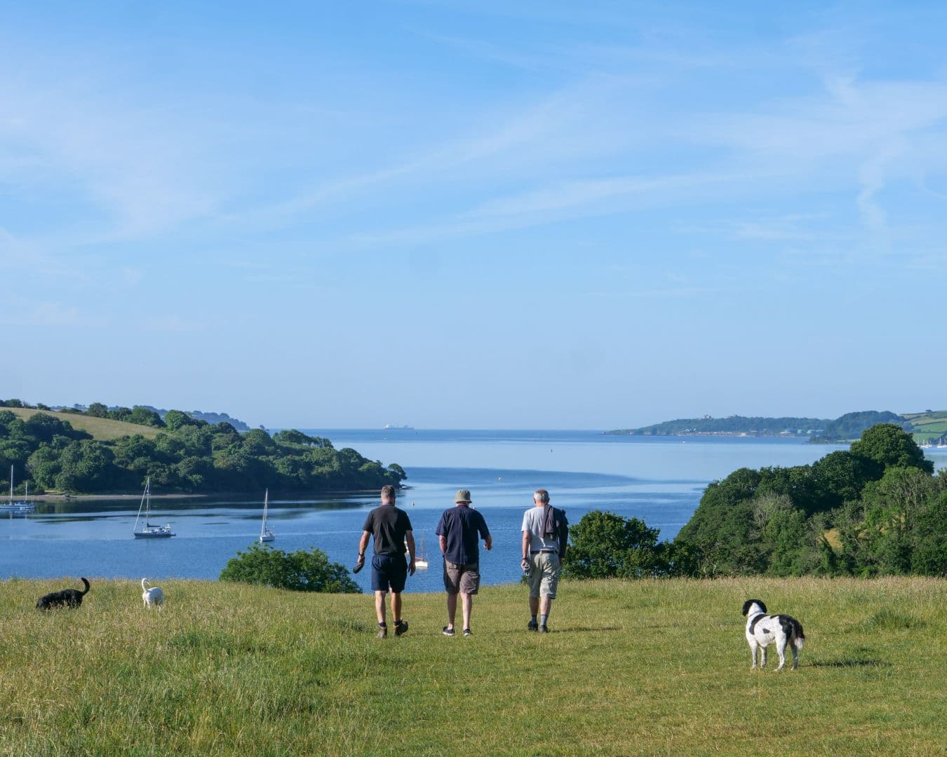 National Trust Trelissick Garden