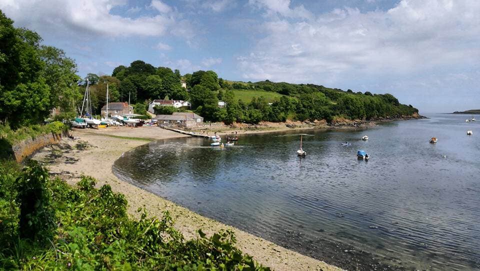The Helford: Cornwall's Enchanting Estuary