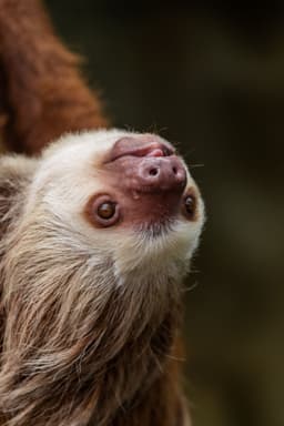 Visit Cornwall | Newquay Zoo