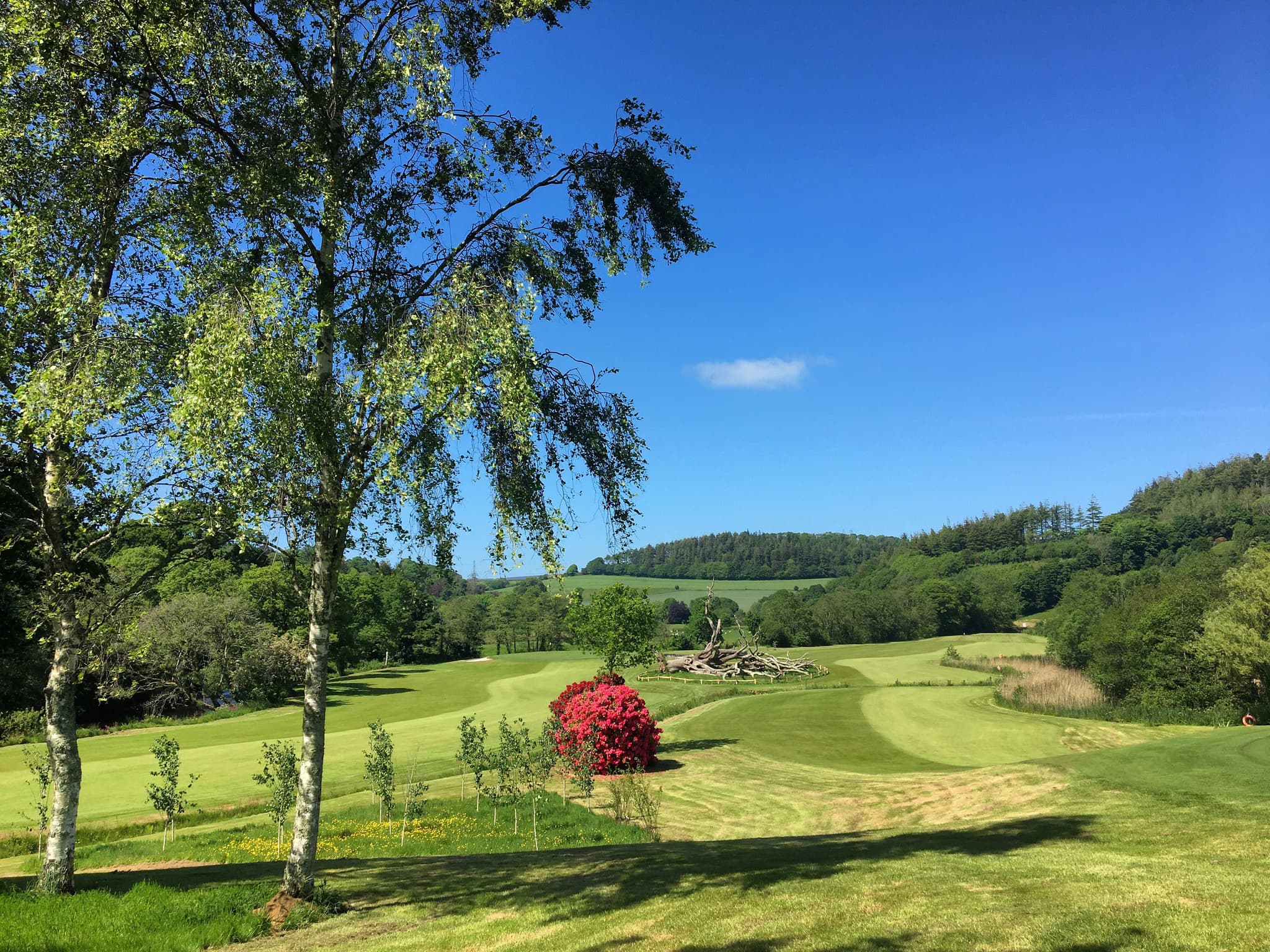 Cornwall Golf Union