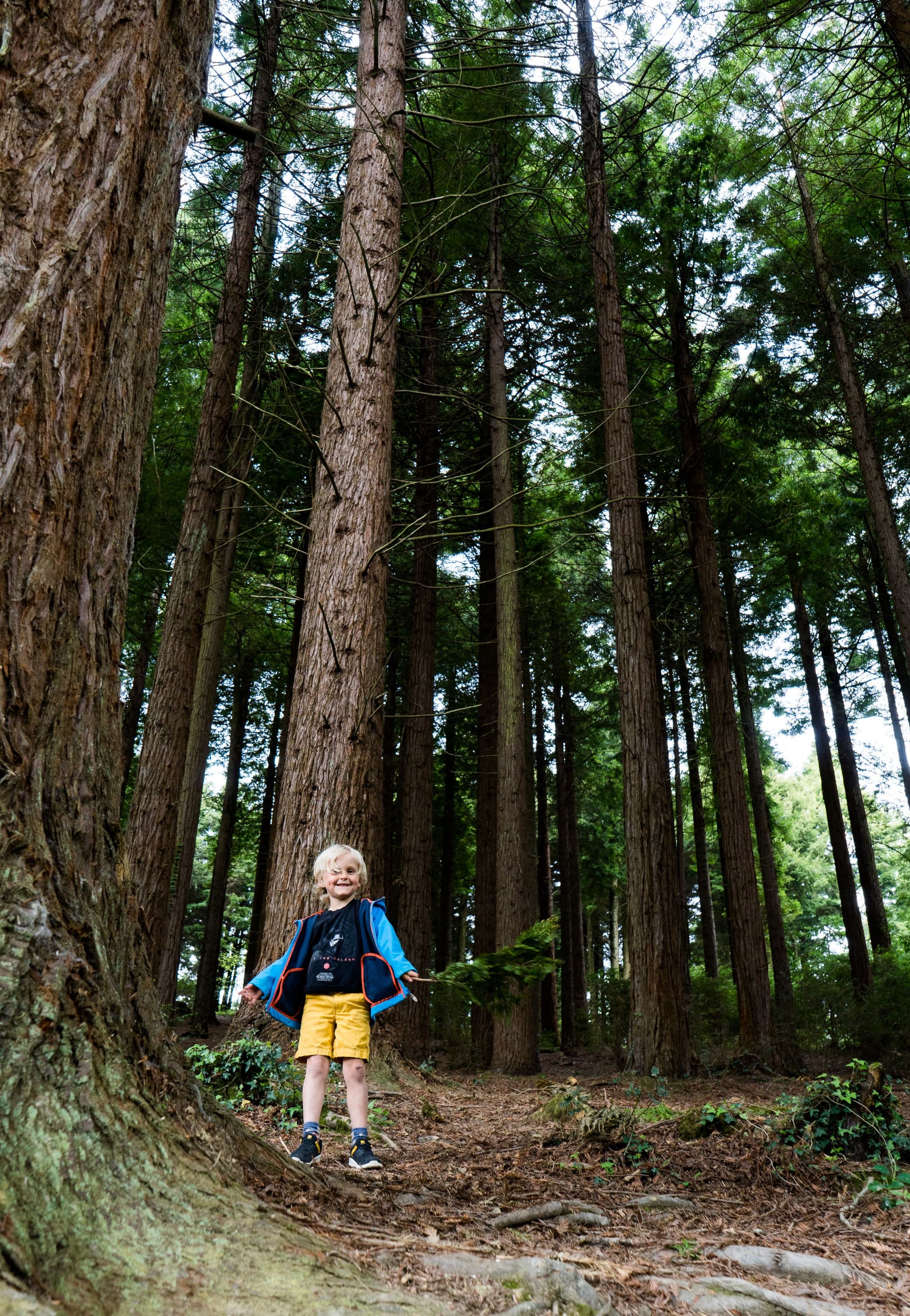 Walking in Cornwall